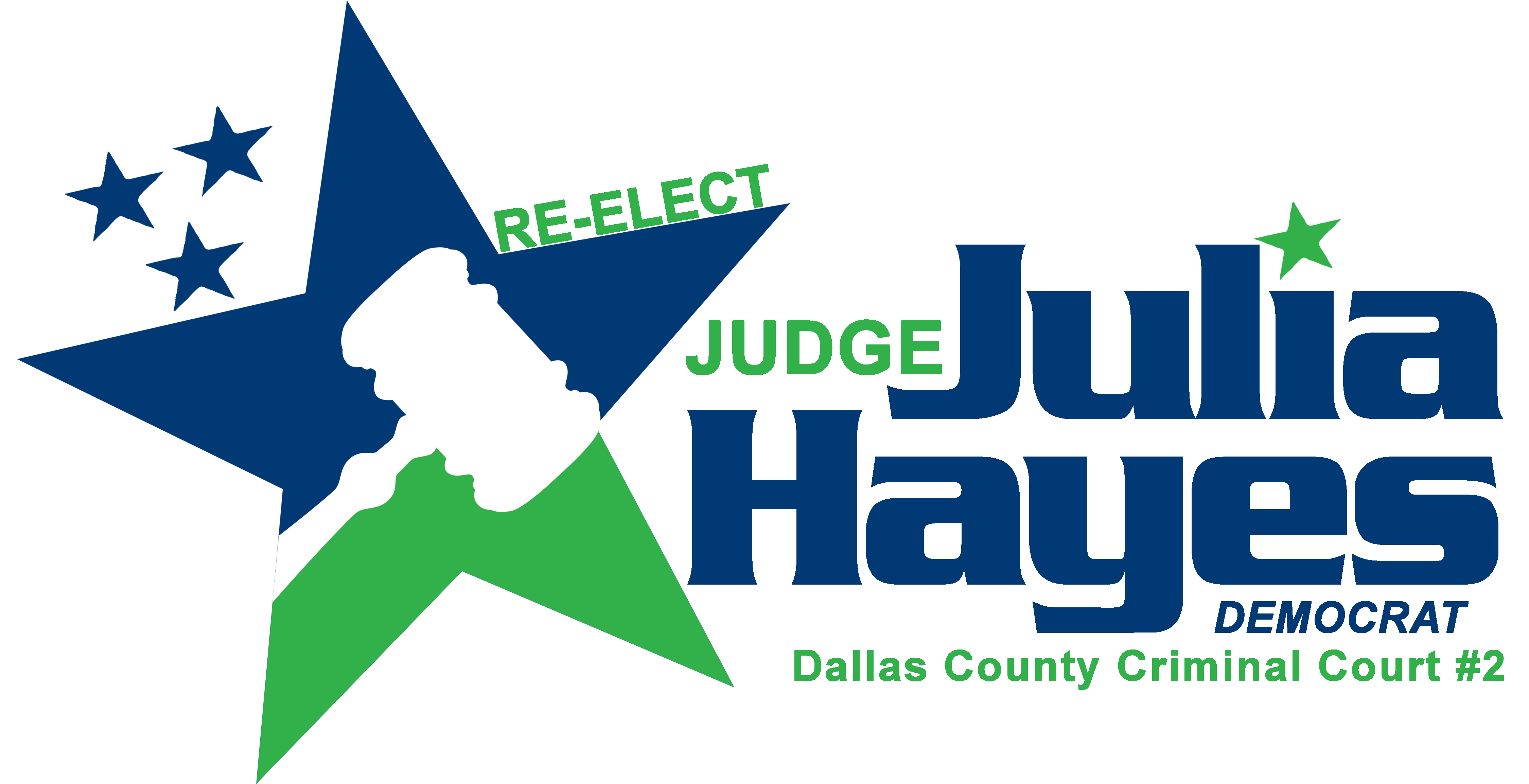 Steering Committee List Judge Julia Hayes For Criminal Court 2